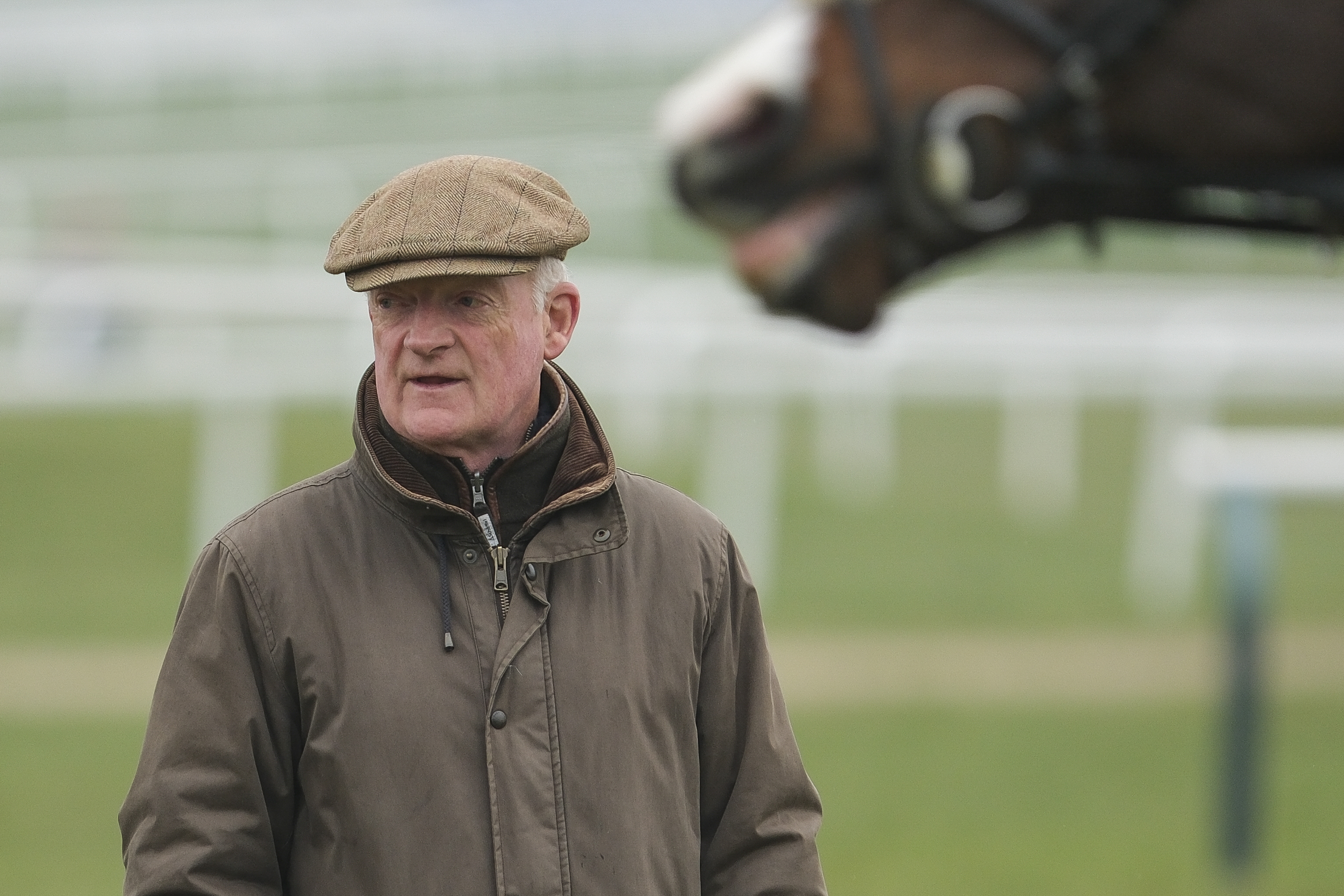 Willie Mullins Cheltenham Festival 2026 Runners: Horses, Runners, Races ...